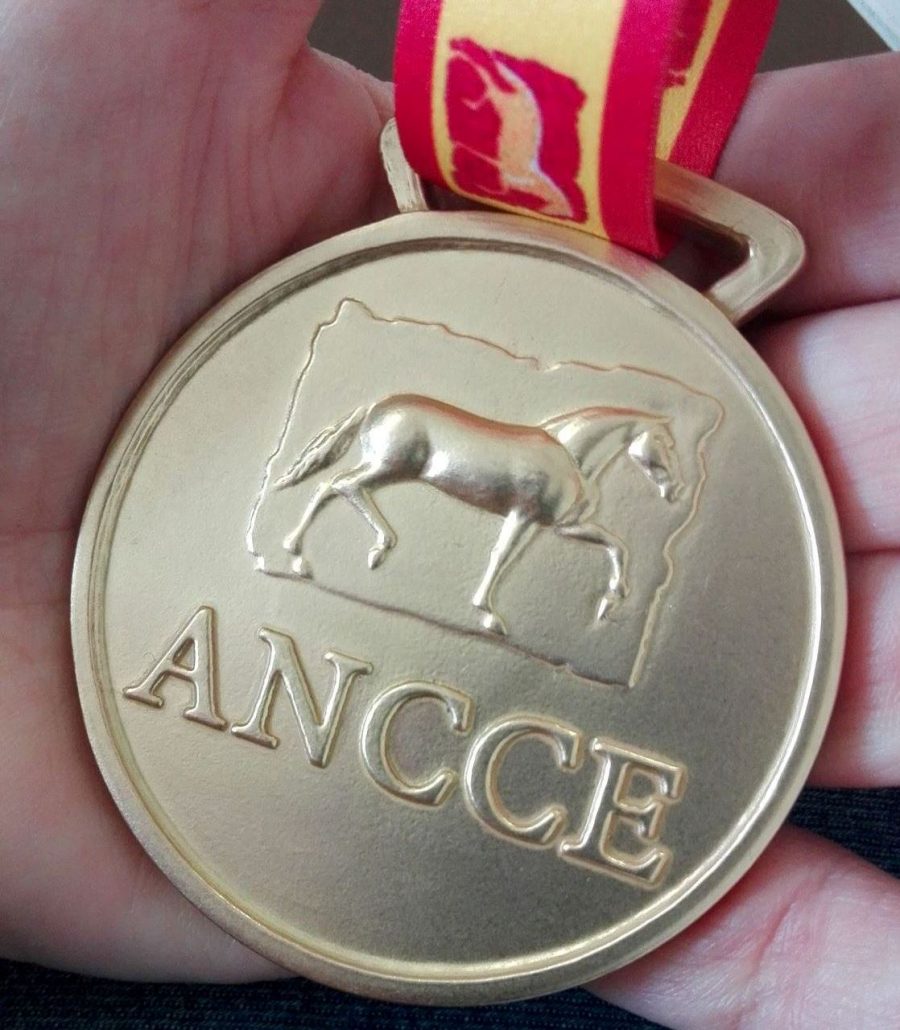 Special Medals. Blackfriday Promotion - The Medal Factory